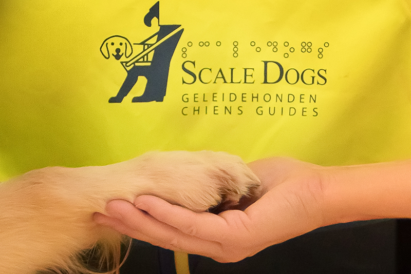 PAWS Workshops - Scale Dogs
